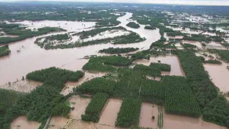 Over 8,000 acres of farmland submerged in Punjab flood