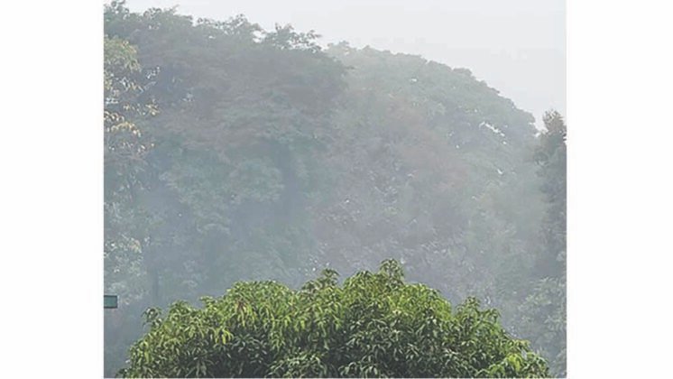 Dense fog, weather conditions hit flight ops