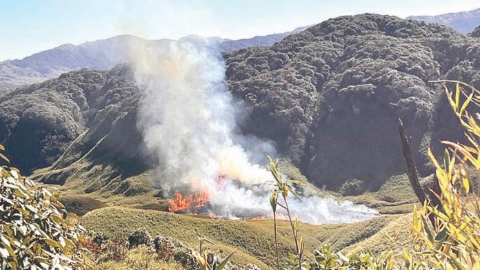 Nagaland: Wildfire hits Khonoma Dzükou Valley; 4 trekkers rescued